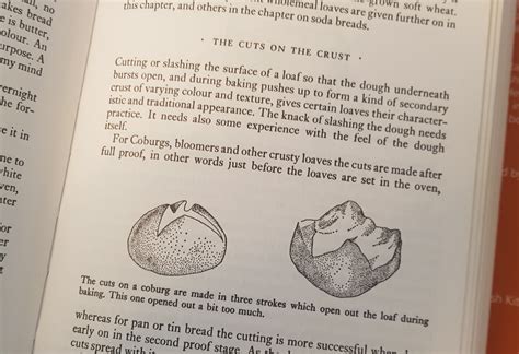 Favourite Cook Books No 5 ‘english Bread And Yeast Cookery By Elizabeth David British Food A