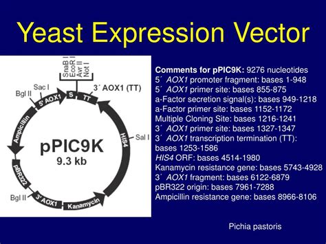 Ppt Chapter 8 Expression And Modification Of Recombinant Proteins
