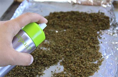 Ultimate Cannabutter Experiment Method 1 Cannabis In Australia