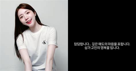 깊은 애도승무원 출신 성해은 제주항공 참사에 참담