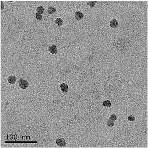Multifunctional Mesoporous Silica Nanoparticles Having Near Infrared