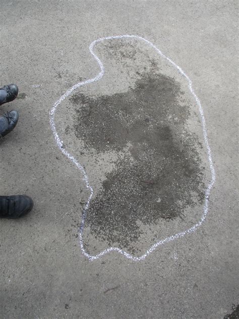 Evaporation Investigation Embsay Ce Primary School