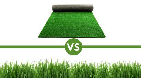 Artificial Vs Real Grass What Are The Best Choices For Your Yard