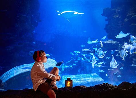 Merlin Entertainments Announces Record Revenues As Transformational