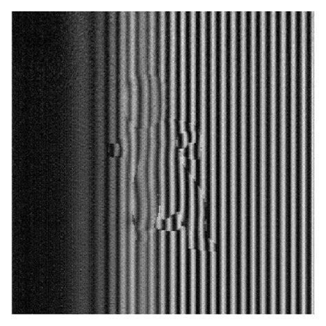 Reconstructed Deformed Fringe And Gray Image With Occlusion Attack