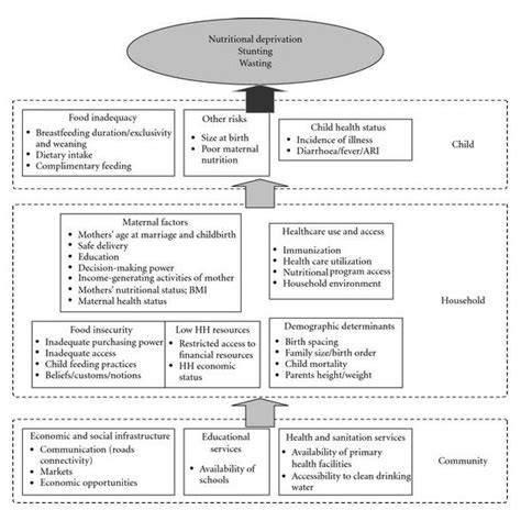 Conceptual Framework Of Vulnerability And Nutritional Status Source