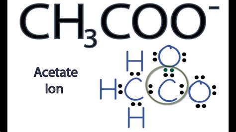 Ch3coo Lewis Structure How To Draw The Lewis Structure For Ch3coo