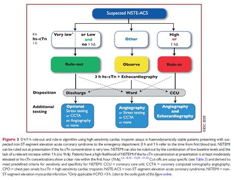 Interpretationshilfen Bei Verdacht Auf Akutes Koronarsyndrom Acs