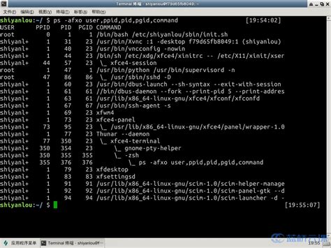 Linux 进程管理 蓝桥云课
