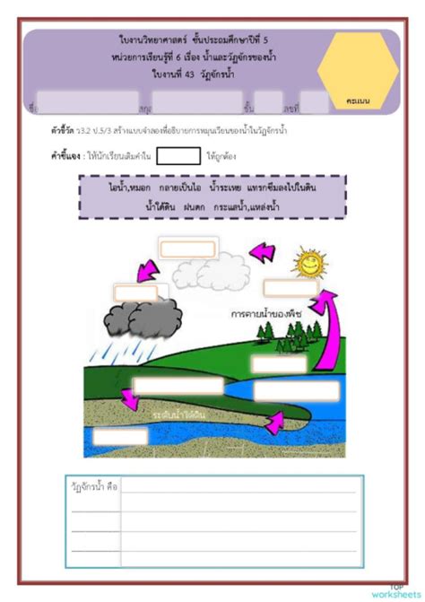 ใบงาน เรื่องวัฏจักรน้ำ ใบงานเชิงโต้ตอบ Topworksheets