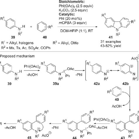 Consumer Behaviours For Developed And Developing Countries Download