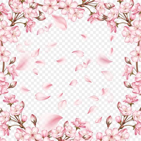 Cherry Blossom Petals PNG Image Spring Light Effect Pink Cherry