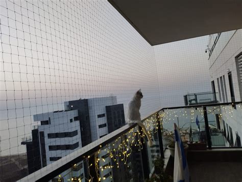 Сетка для кошек на балкон антикошка на балкон в Израиле