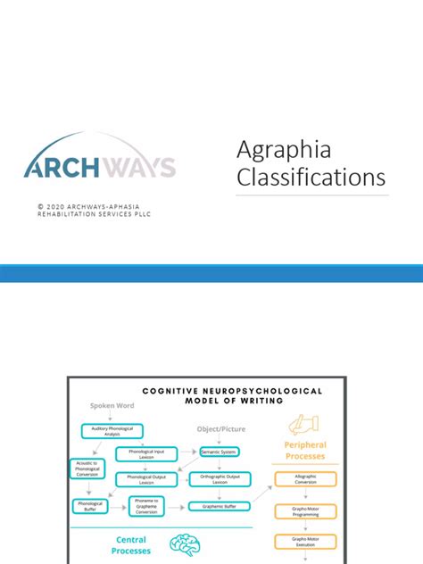Agraphia Classifications Pdf Word Applied Linguistics