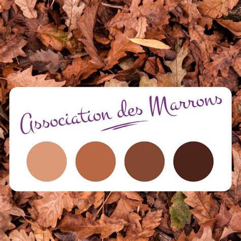 Marron • Association Des Couleurs De Papier Marrons Couleur Association Couleur