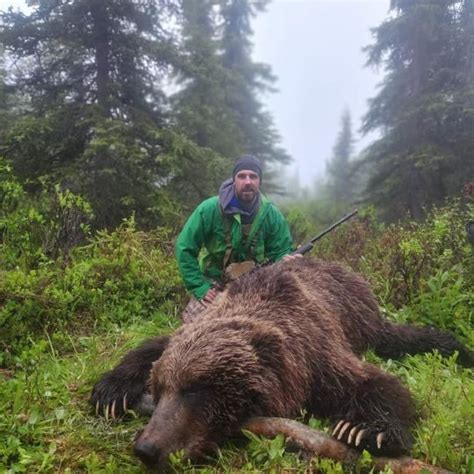 Unit 13 Baited Brown Bear Hunt Alaska Elite Outfitter