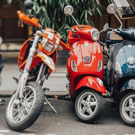 Program Mudik Gratis Motis Kemenhub Ini Syarat Dan Jadwalnya