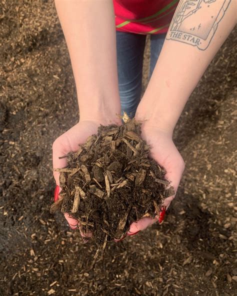 Its A Great Time To Mulch After Garden Grove Supplies
