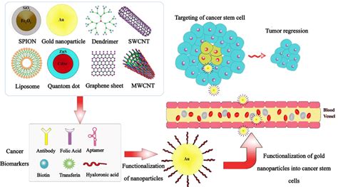 The Schematic Representation Of Targeting Cancer Stem Cell Via