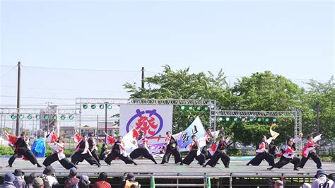 4k ちゃわん娘 犬山踊芸祭 2023 土曜日 Youtube