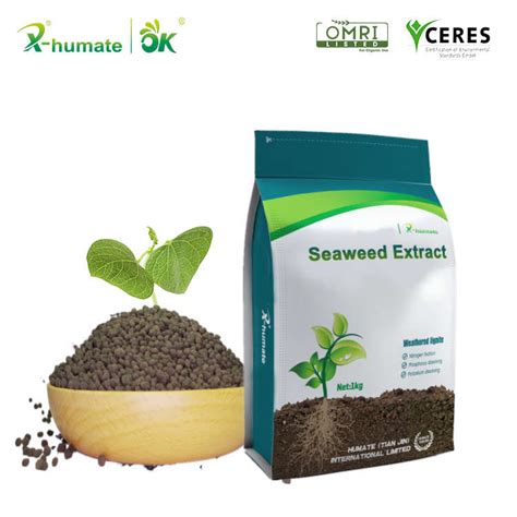 Chemical Fertilizer Manufacturers Seaweed Extract Factory