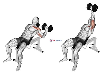 Dumbbell One Arm Incline Chest Press Home Gym Review