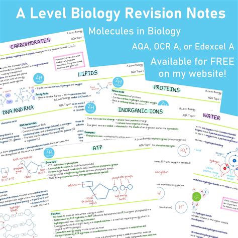 Free Gcse Biology Revision Notes Artofit