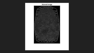 Minutiae Based Fingerprint Matching PPTX