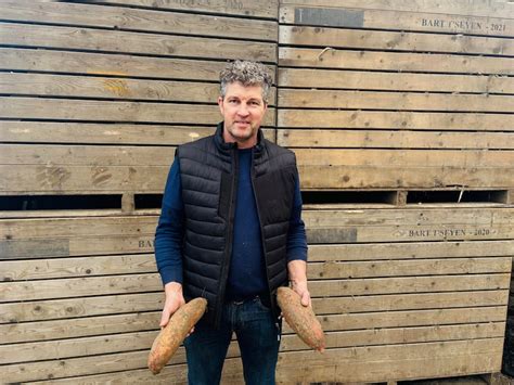 Boer Bart Uit Lier Zit Met 50 Ton Zoete Aardappelen Die Te Groot Of Te