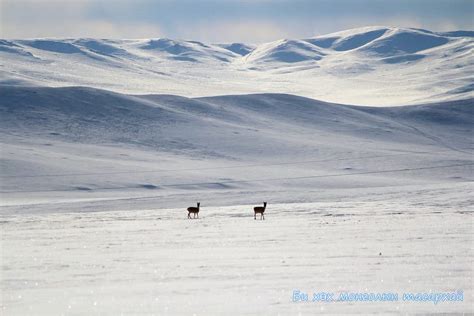 Салхит уул Төв аймаг Сэргэлэн сум Narkhuu Enkhbold Flickr
