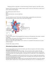 Study Guide For Perfusion 1 Docx Adequate Perfusion Is Dependent On