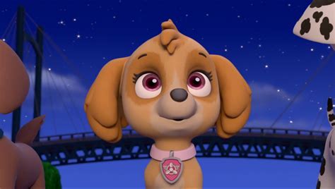 Skye Skye Paw Patrol Photo 42903353 Fanpop
