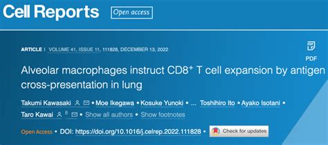 「cell子刊」冠状病毒感染肺部怎么办？研究发现肺泡巨噬细胞帮助 Cd8 T 细胞对抗病毒 有驾