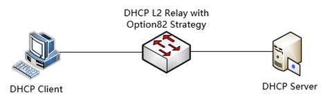 Omada Switch DHCP Relay Configuration Guide TP Link United Kingdom