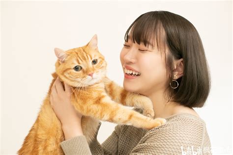 【每日观优】架乃ゆら（架乃由罗）一起撸猫的日子 哔哩哔哩