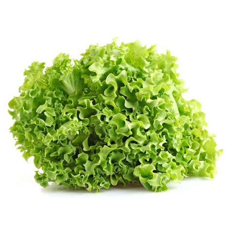 Imagens De Verduras Para Imprimir Ajos Para Imprimir Imagenes De