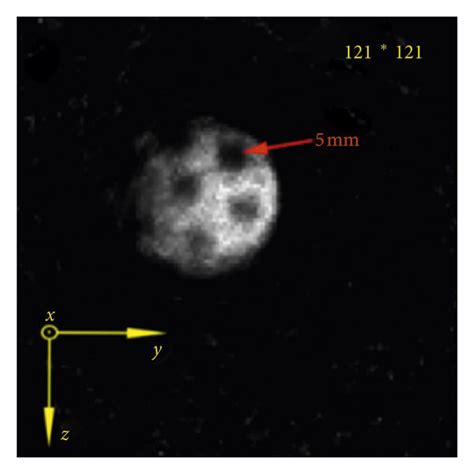 Images Of The Phantom With Seven Rods With A Diameter Of 5 Mm A