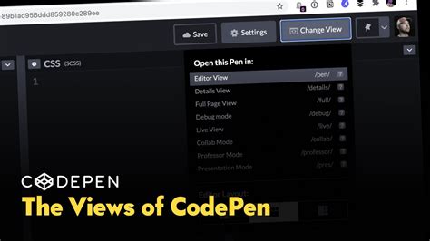 The Views Of Codepen Youtube