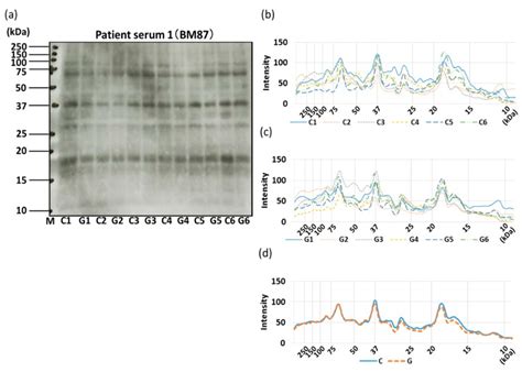 Comparison Of Various Soybean Allergen Levels In Genetically And Non Genetically Modified