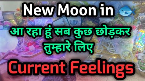 New Moon 🌝 🐟current Feelings 🩷 Next Action ⚡ Angel Guidance 🕰️🌷🌹all