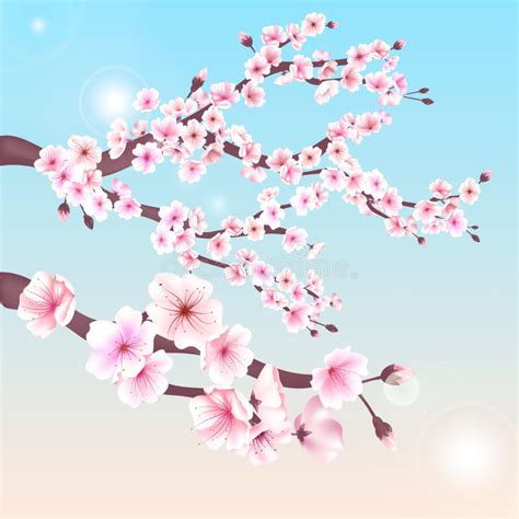 Realistic Sakura Japan Cherry Branch With Blooming Flowers Illustration