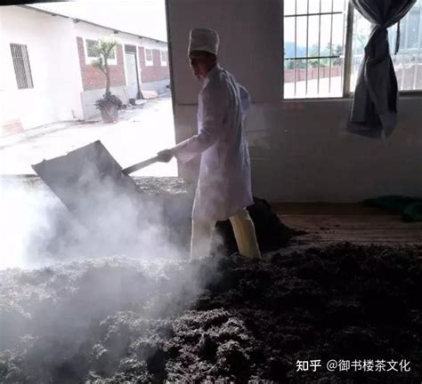“碎银子”是什么茶？ 知乎
