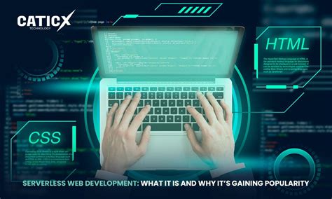 Serverless Web Development Why Its Gaining Popularity Caticx