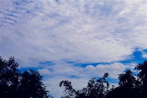 美しい青い空の背景のテンプレート青い空雲の光背景として使用することがあります ふわふわのストックフォトや画像を多数ご用意 ふわふわ