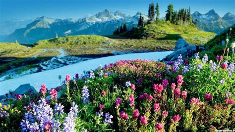 20 عکس از زیبایی های طبیعت با کیفیت باور نکردنی