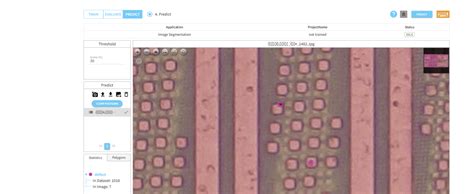 Semiconductor Defect Detection With Bright Field Microscopy And Dark Field Microscopy