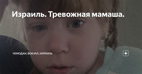 Израиль Тревожная мамаша Чемодан вокзал Израиль Дзен