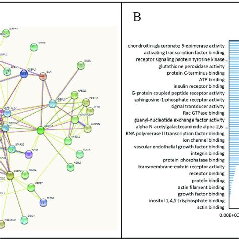 Gene Transcript Expressions Of Proteins Secreted By Oxysterol Binding Download Scientific
