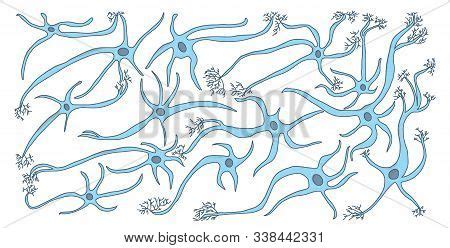 Neuron Cells Set Vector Photo Free Trial Bigstock