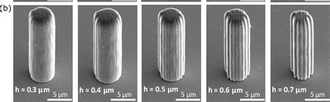 Dynamic Power Range Characterization Of Waveguide Cores Printed Via Tpp